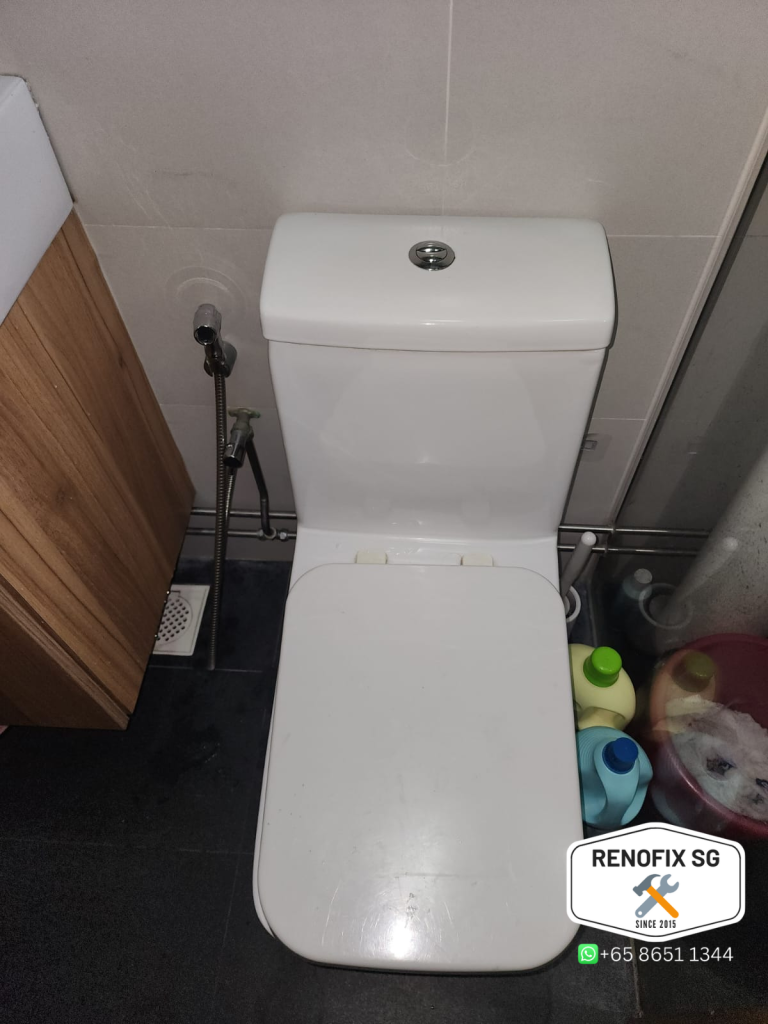 Replacement of WC Flushing System, Boon Tiong Road - RenoFix SG