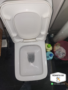 Replacement of WC Flushing System, Boon Tiong Road - RenoFix SG
